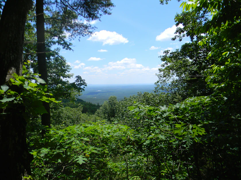 Hike to Springer Mountain, Dawsonville, Georgia
