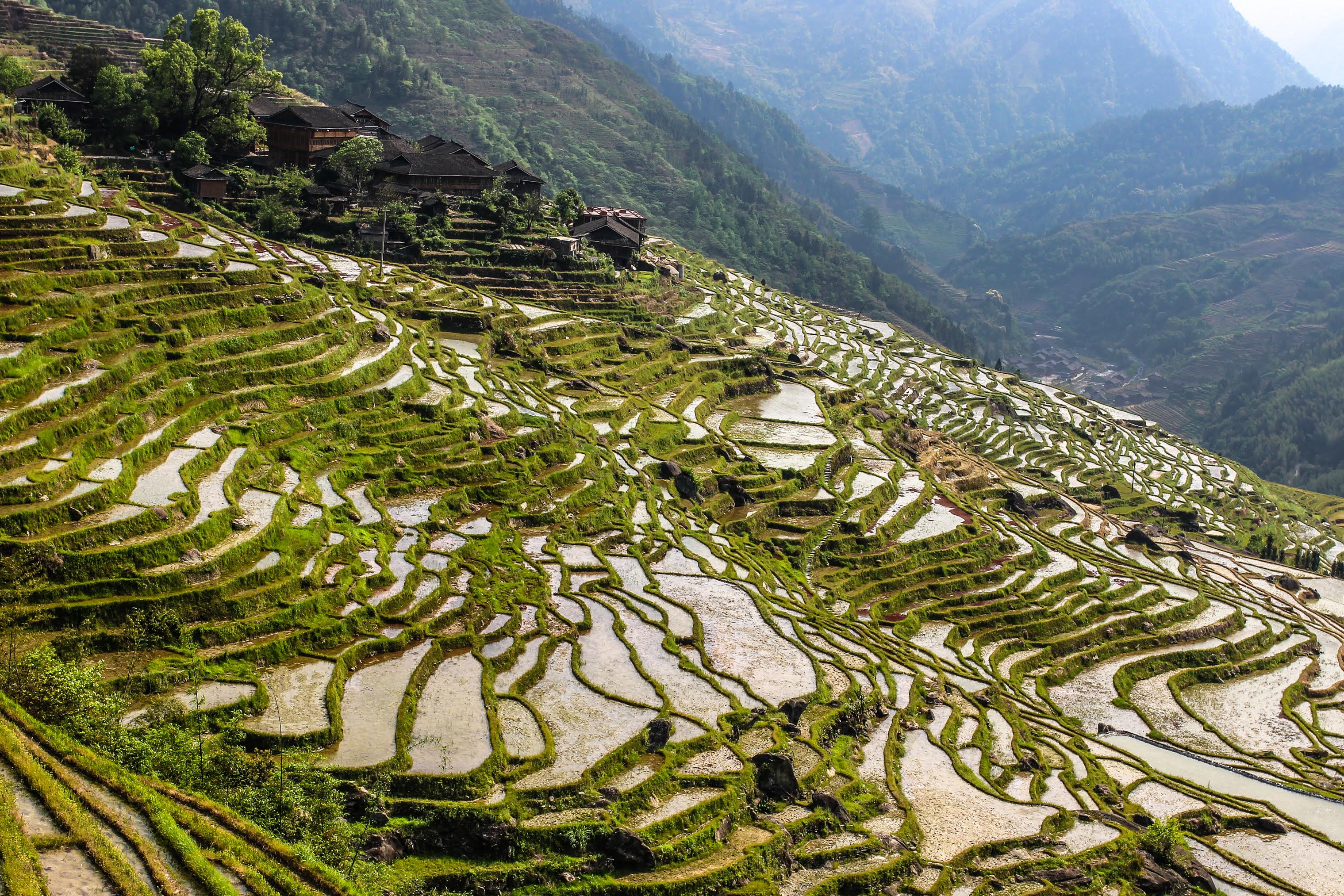 Hike the Longji Rice Terraces, Guilin Shi, China
