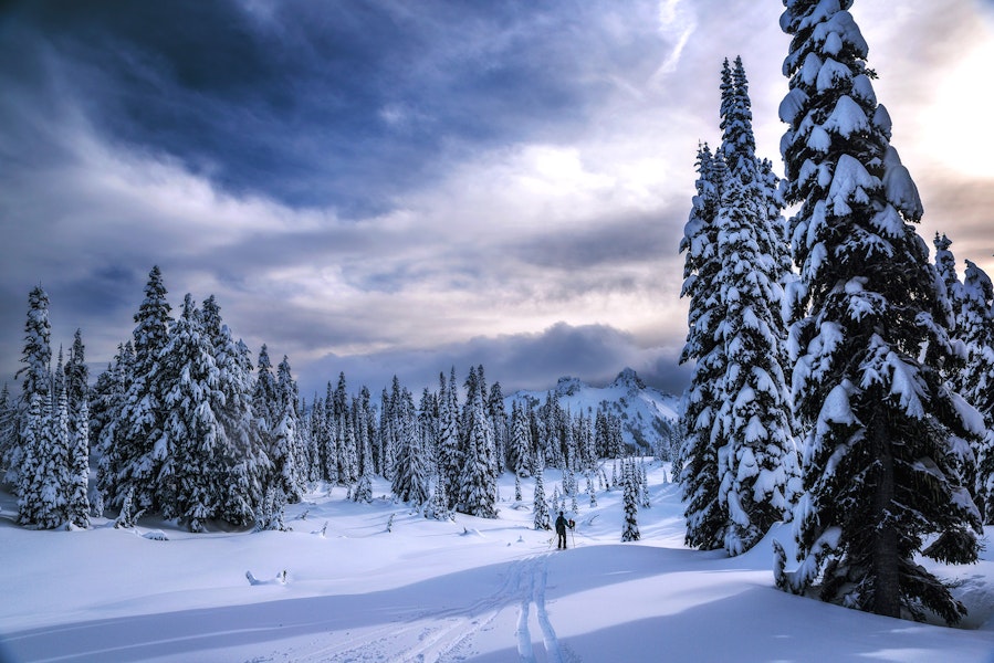 10 Epic Winter Adventures In Washington