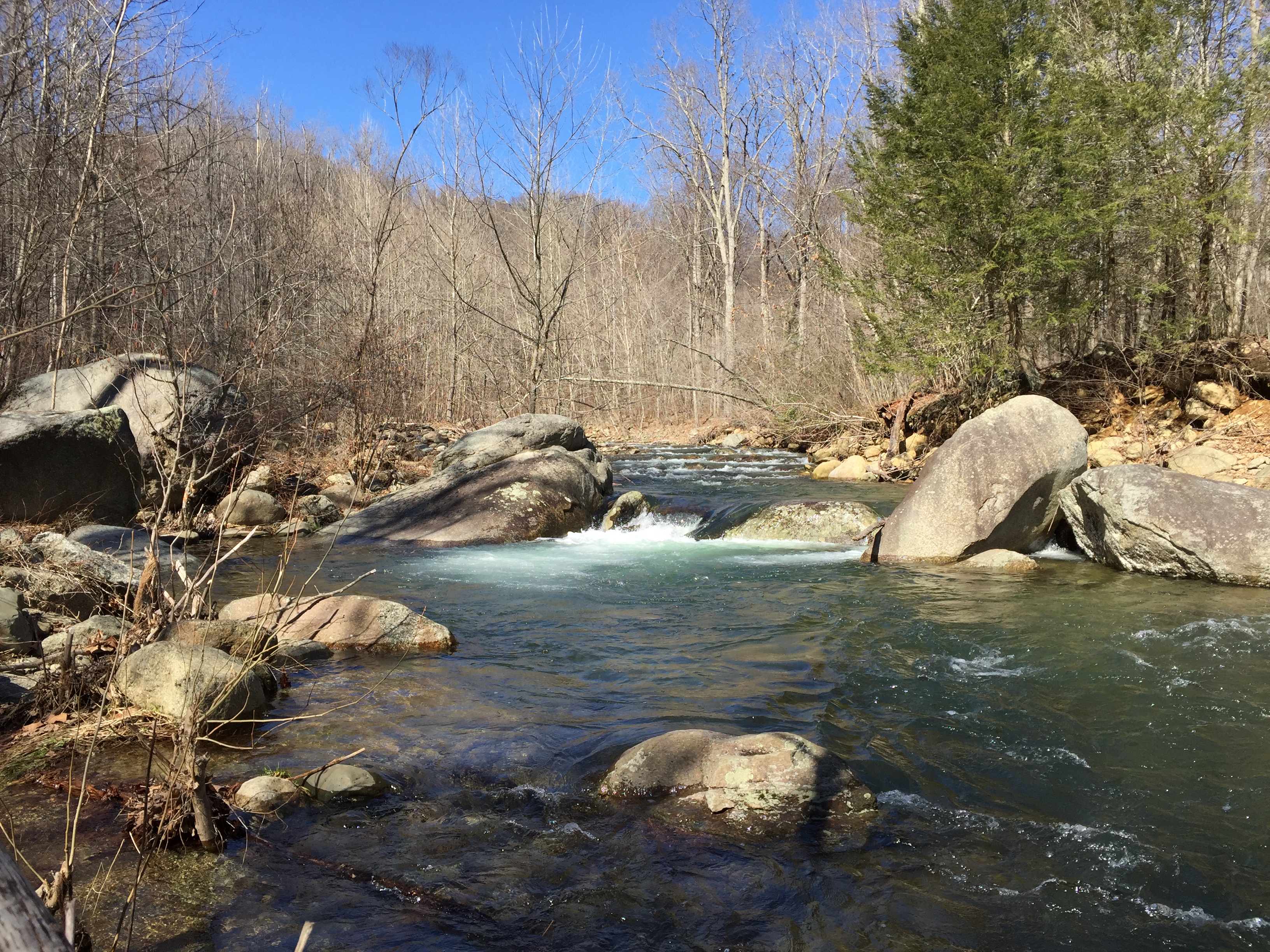 Photos: Fly Fish on the Rapidan River, Madison, Virginia
