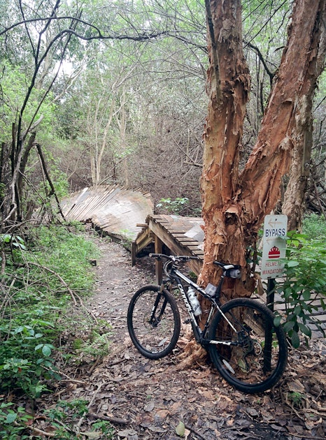 Mountain Bike at Markham Park, Sunrise, Florida