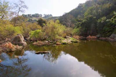 Hike and Swim at the Rock Pool, Malibu Creek SP, Malibu Creek State ...