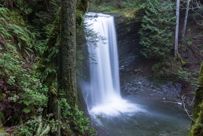 Hike to Ammonite Falls, Ammonite Falls Trailhead
