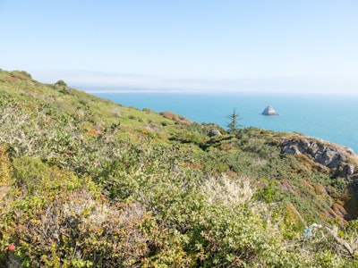 Hike Trinidad Head, Trinidad Head TrailHead