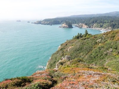Hike Trinidad Head, Trinidad Head TrailHead