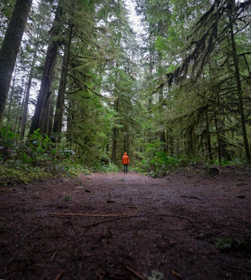 Hike Mount Storm King in Olympic NP, Washington