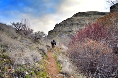 Hike Umtanum Creek Canyon, Umtanum Creek Canyon Trail