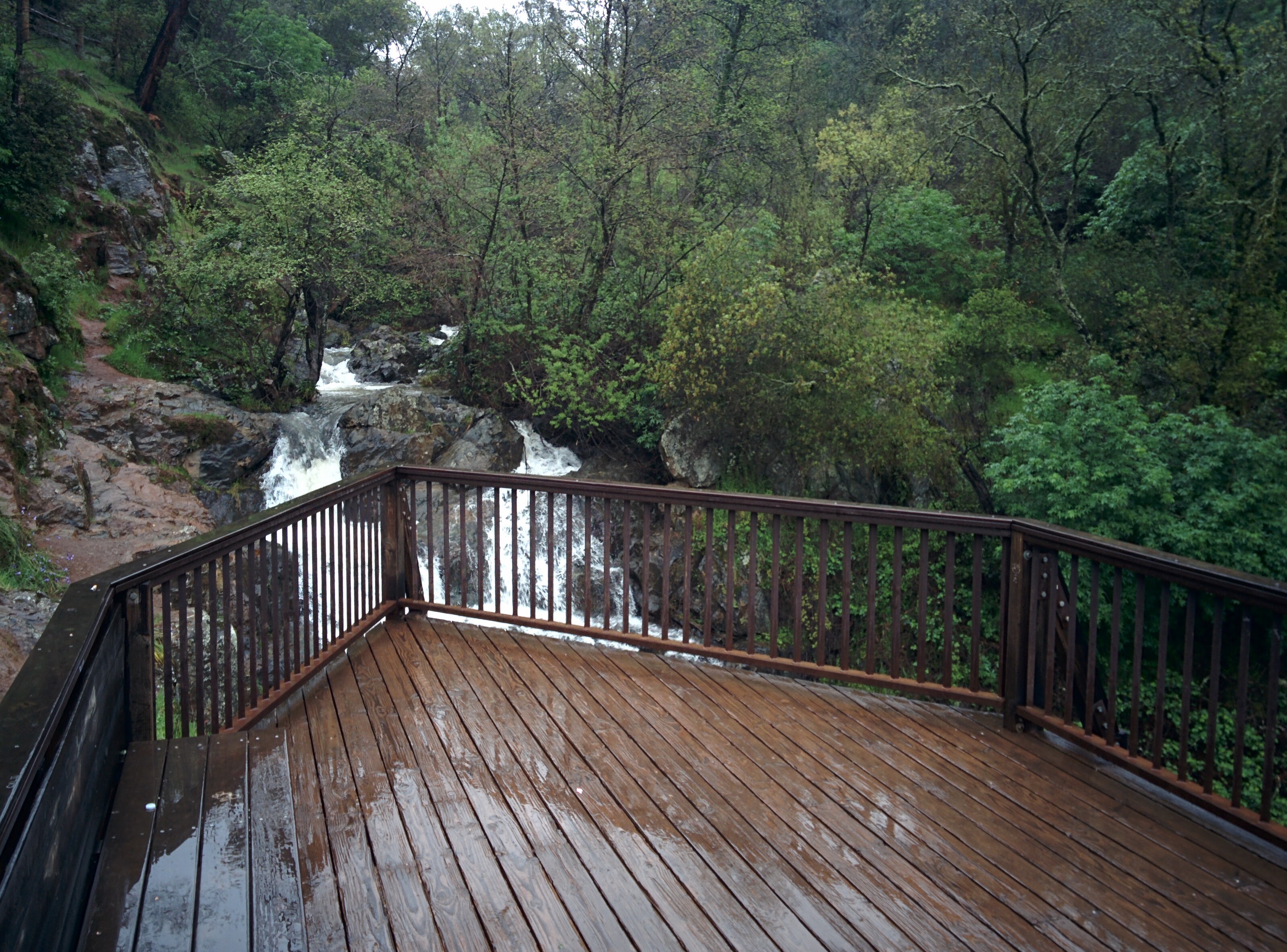 Photos: Coon Creek and Hidden Falls Loop, Auburn, California