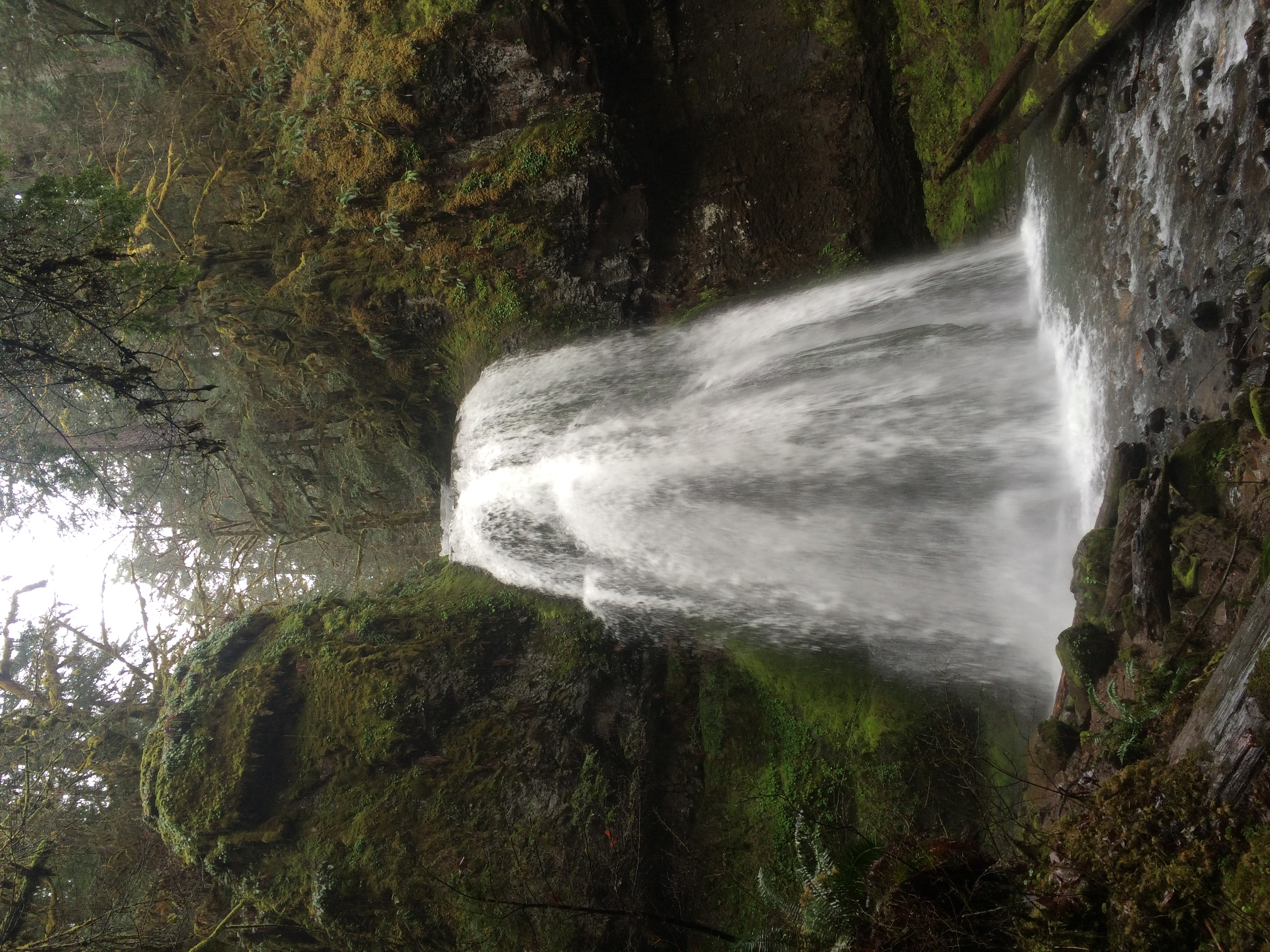 Hike to Spirit, Moon, and Pinard Falls, Dorena, Oregon
