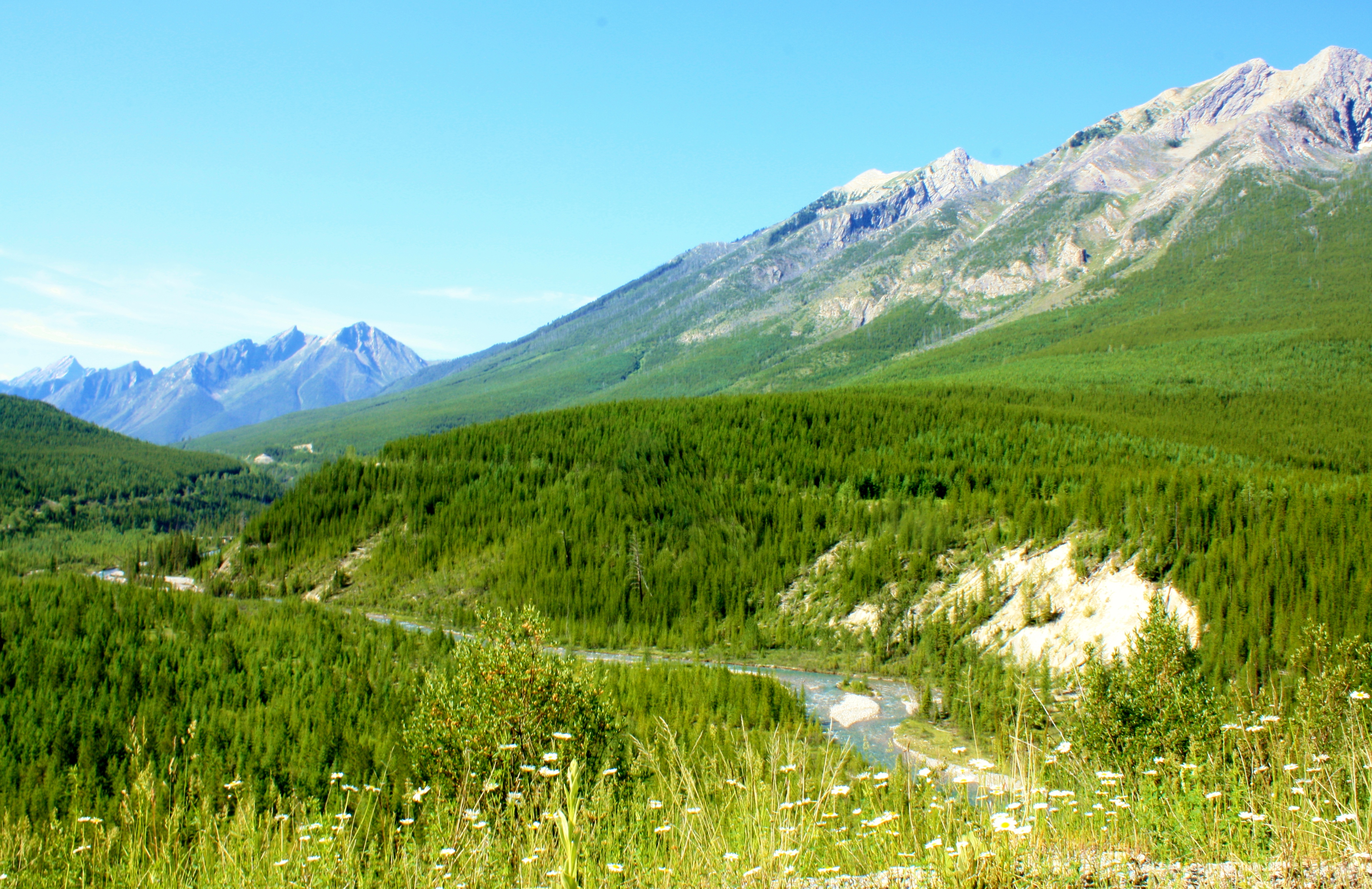Camp at Alces Lake in Whiteswan Provincial Park, East Kootenay F ...