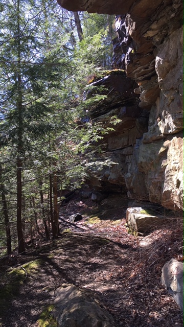 Photo of Hike the Greens Bluff Loop
