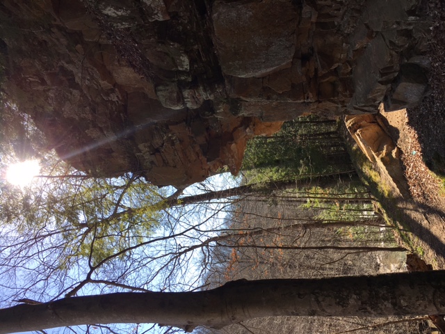 Hike the Greens Bluff Loop, Spencer, Indiana