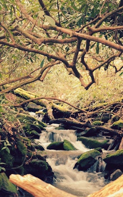 Hike the Deep Creek Loop, Deep Creek Trailhead