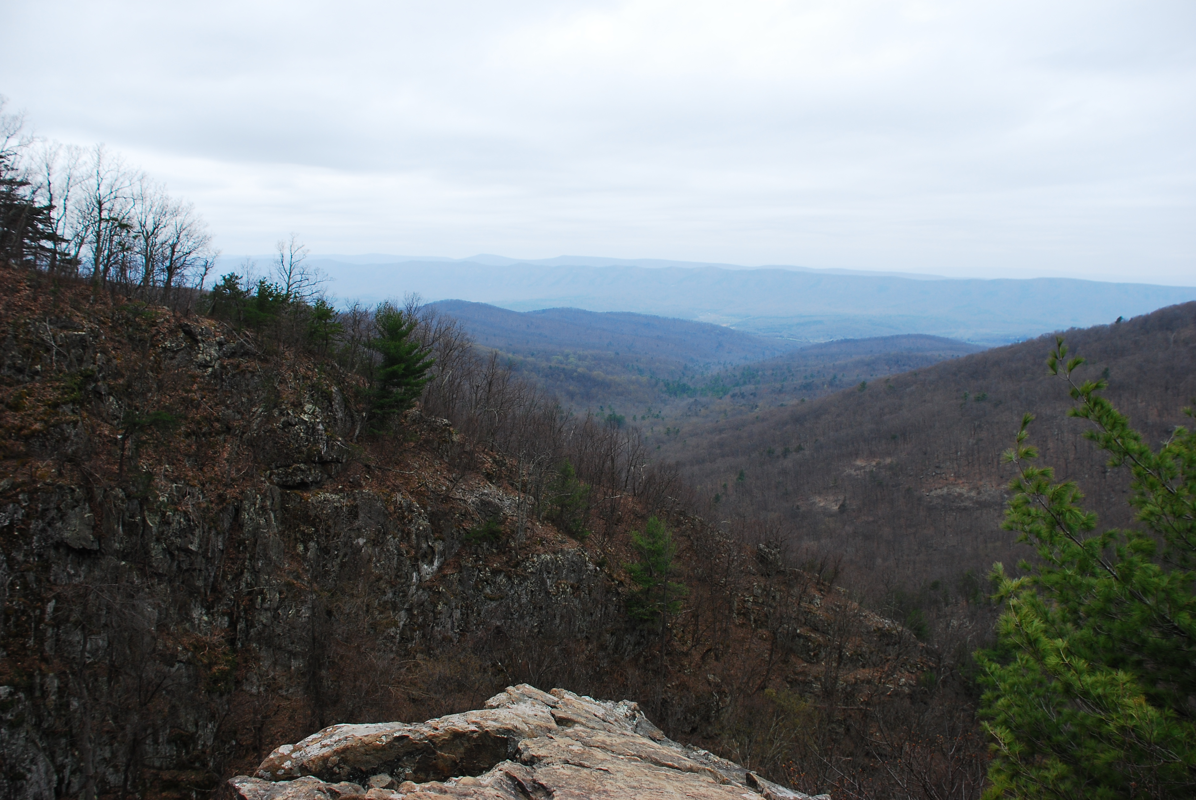 Hike to Overall Run Falls, Rileyville, Virginia