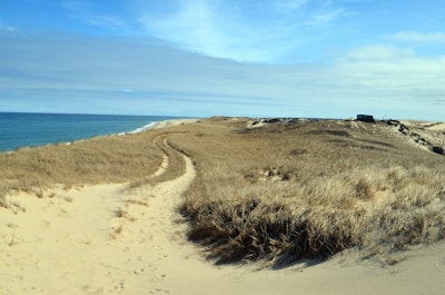Hike Provincetown Dunes on the Cape Cod National Seashore, Provincetown ...