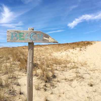 Hike Provincetown Dunes on the Cape Cod National Seashore, Provincetown ...