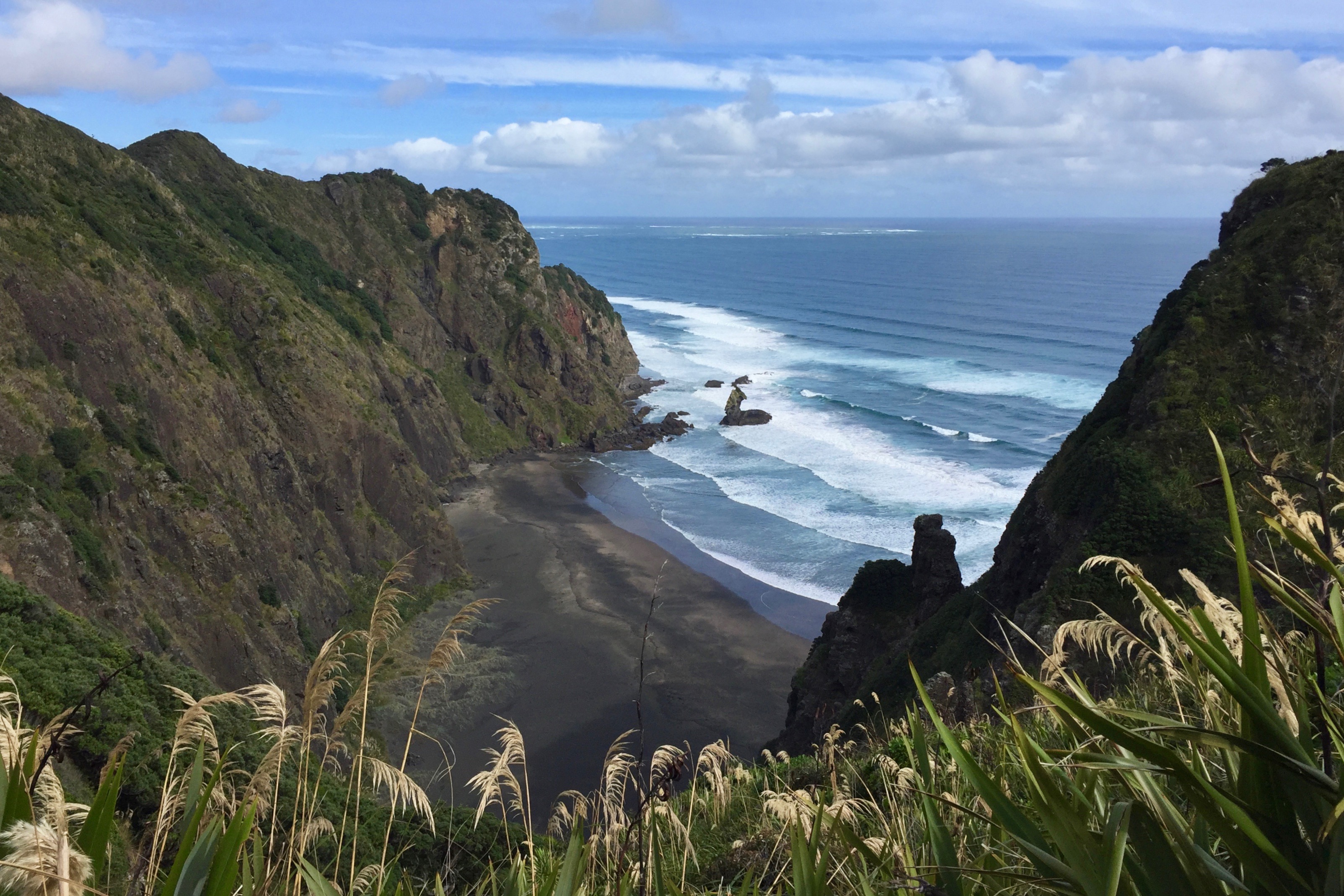 Hike the Mercer Bay Loop, Piha, New Zealand