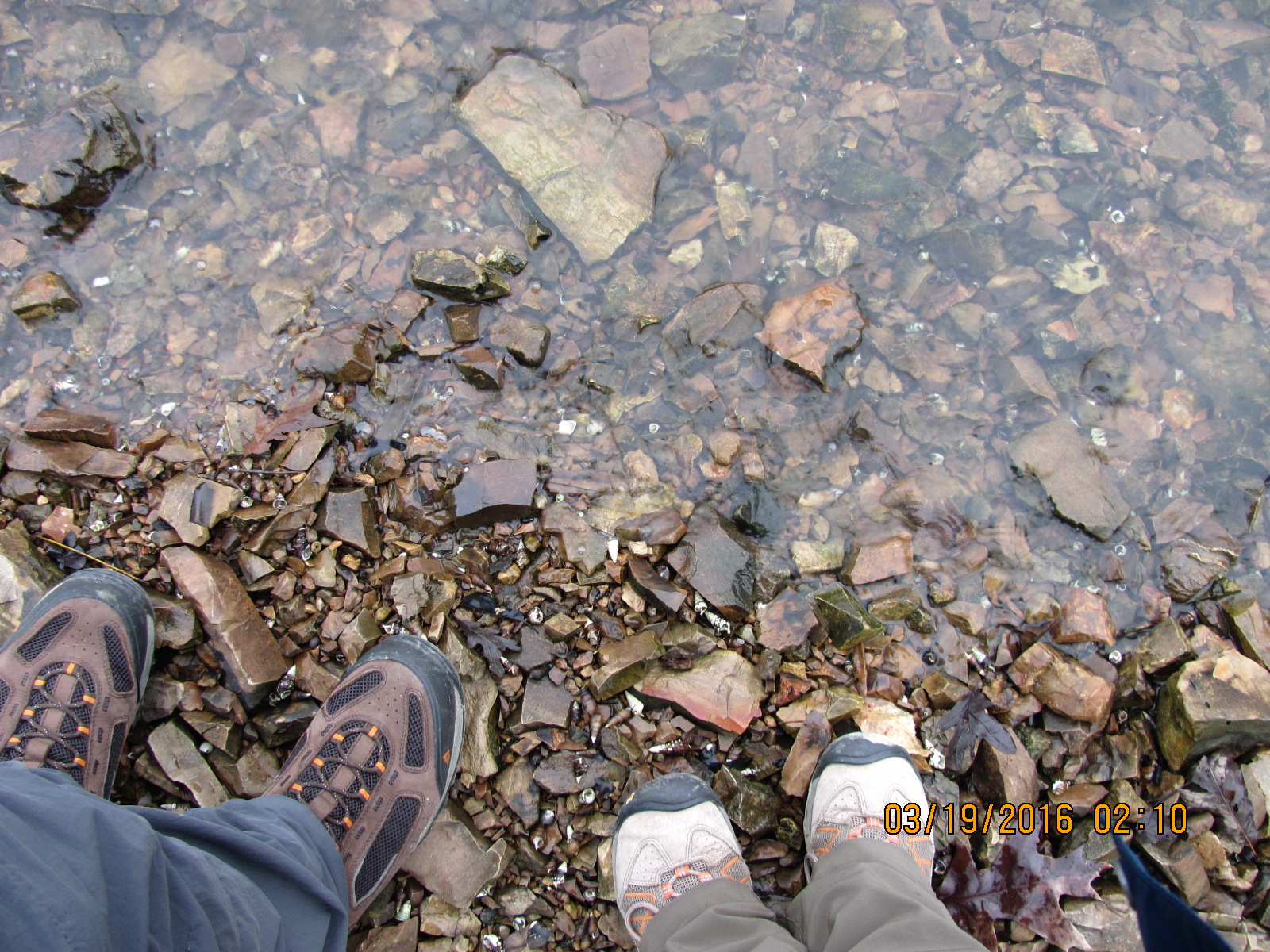 Photo of Canal Loop, Land Between the Lakes National Recreation Area