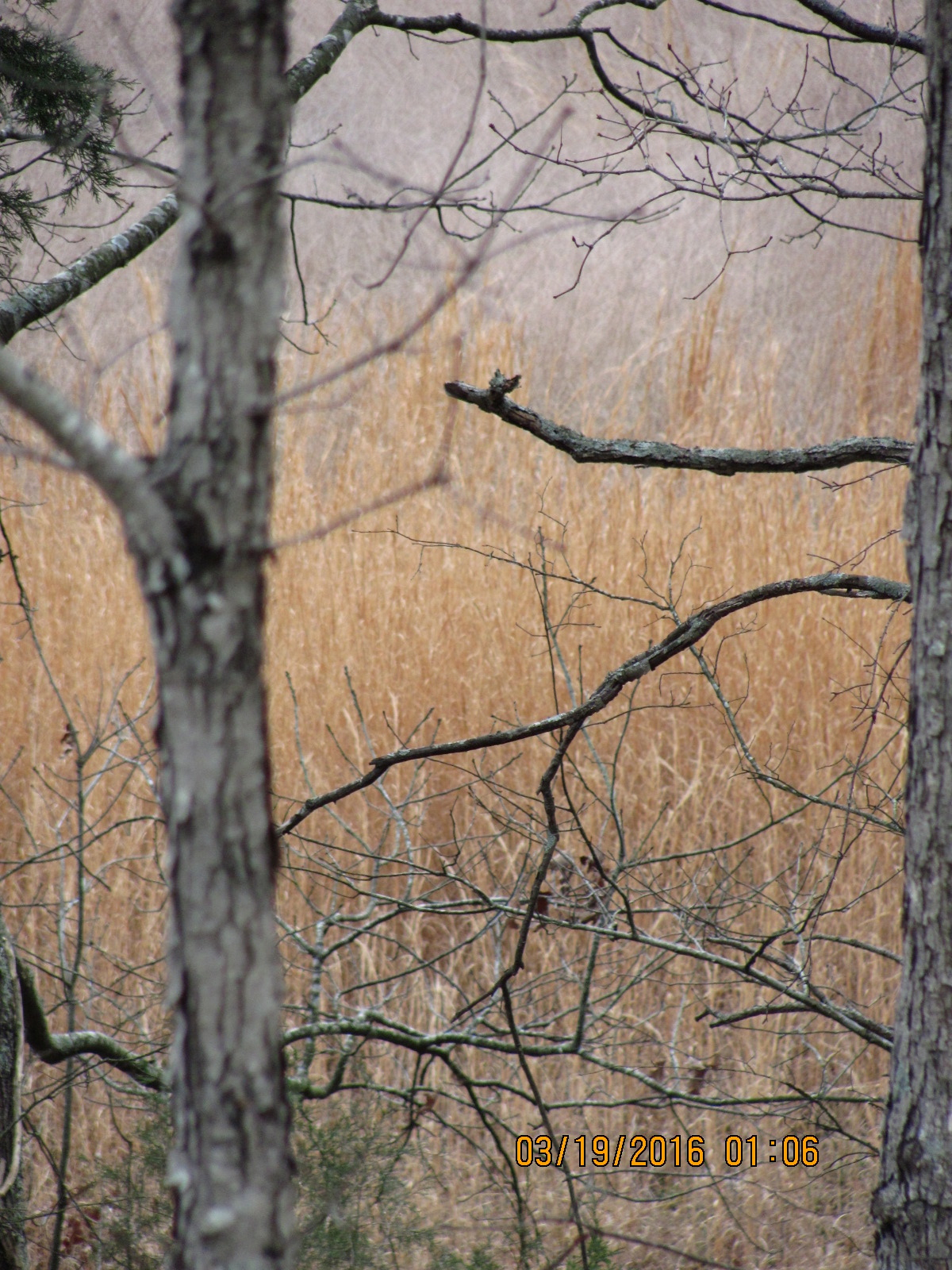 Photo of Canal Loop, Land Between the Lakes National Recreation Area