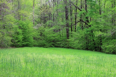 Hike to Lee Falls, Lee Falls Trailhead