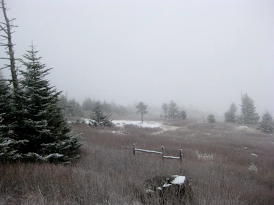Backpack the Mount Rogers Loop, Massie Gap Trailhead