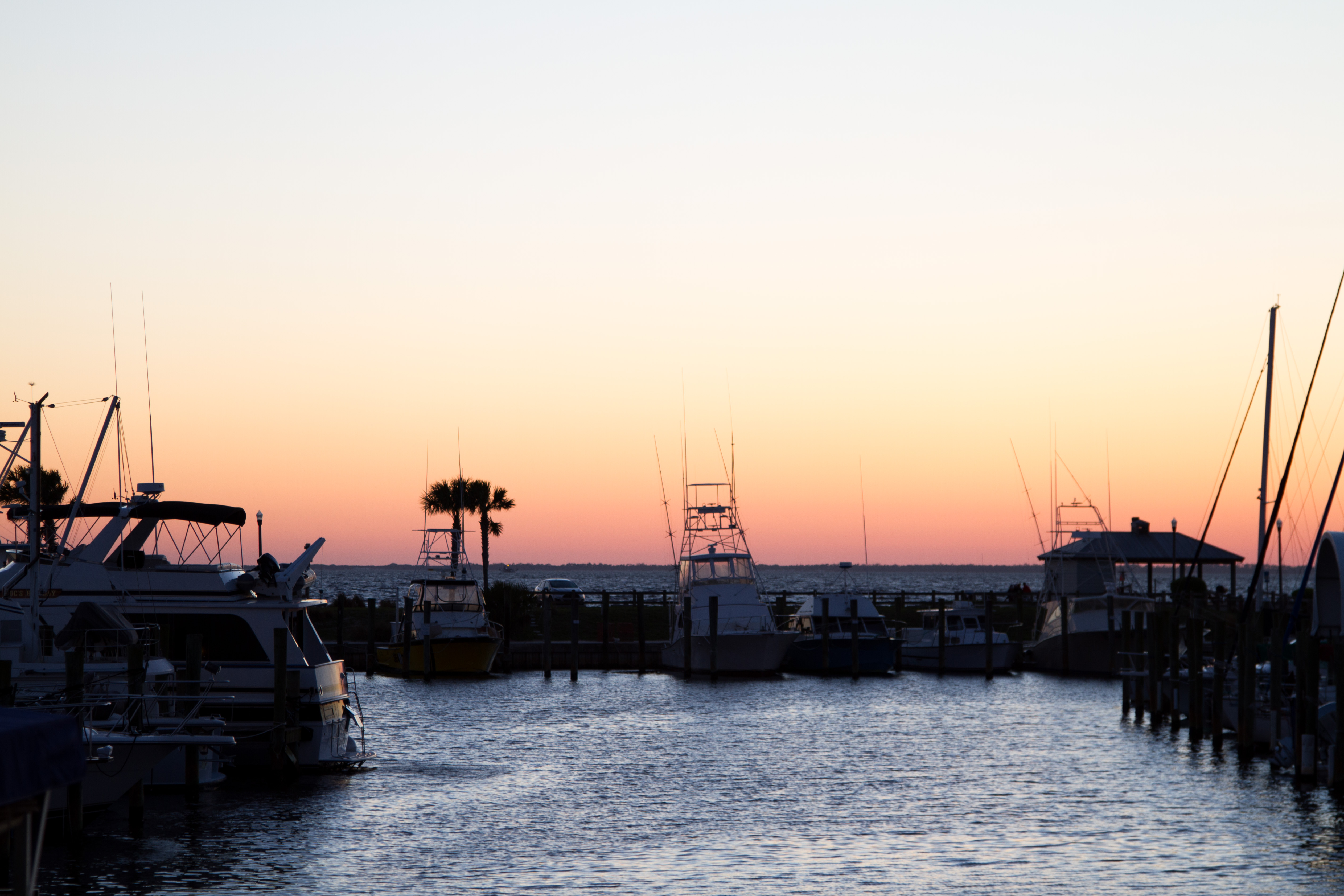 Photo of Explore Port Saint Joe