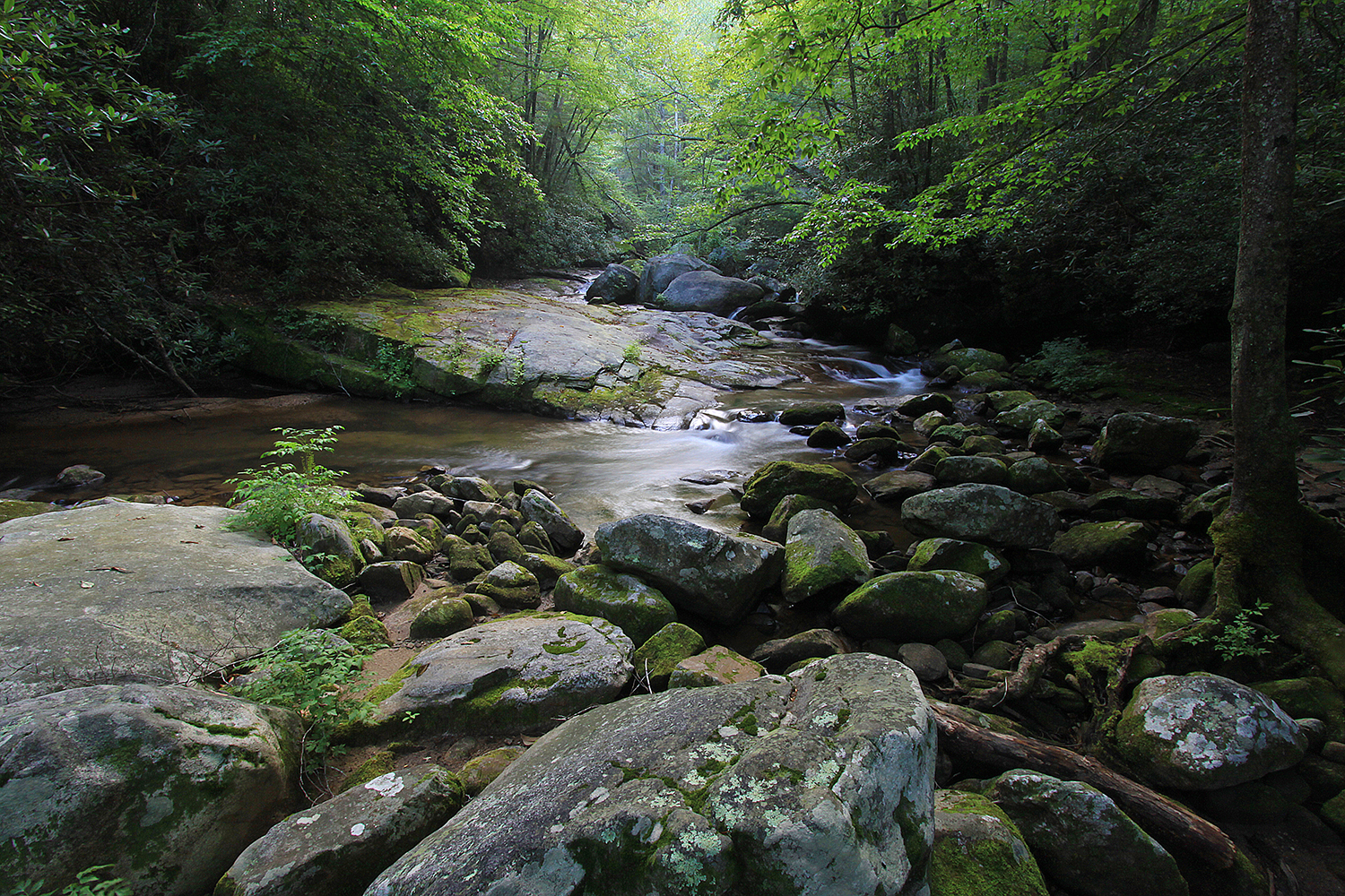 Photos: Hike to Rainbow Falls and Pretty Place, Greenville County ...