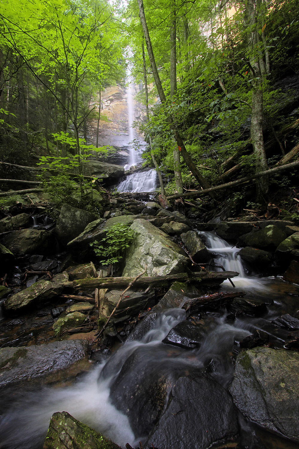 The best Hiking in and near Anderson, South Carolina