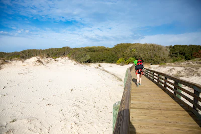 Camp at Stafford Beach on Cumberland Island, Cumberland Island Ferry ...