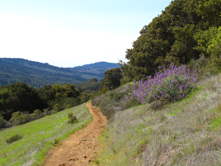 Hike Edgewood Park and Natural Preserve, Edgewood Park and Nature Preserve