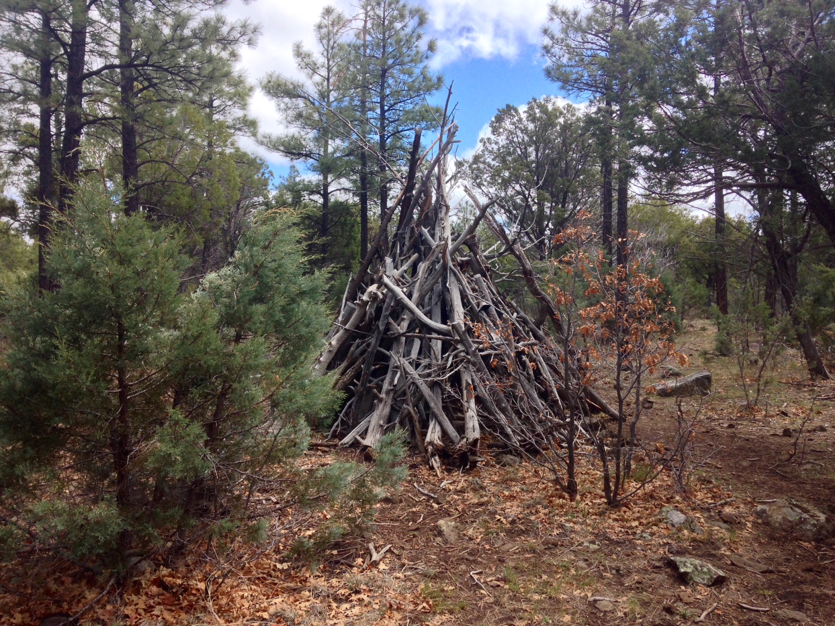 Photo of Blue Ridge Cave Trail