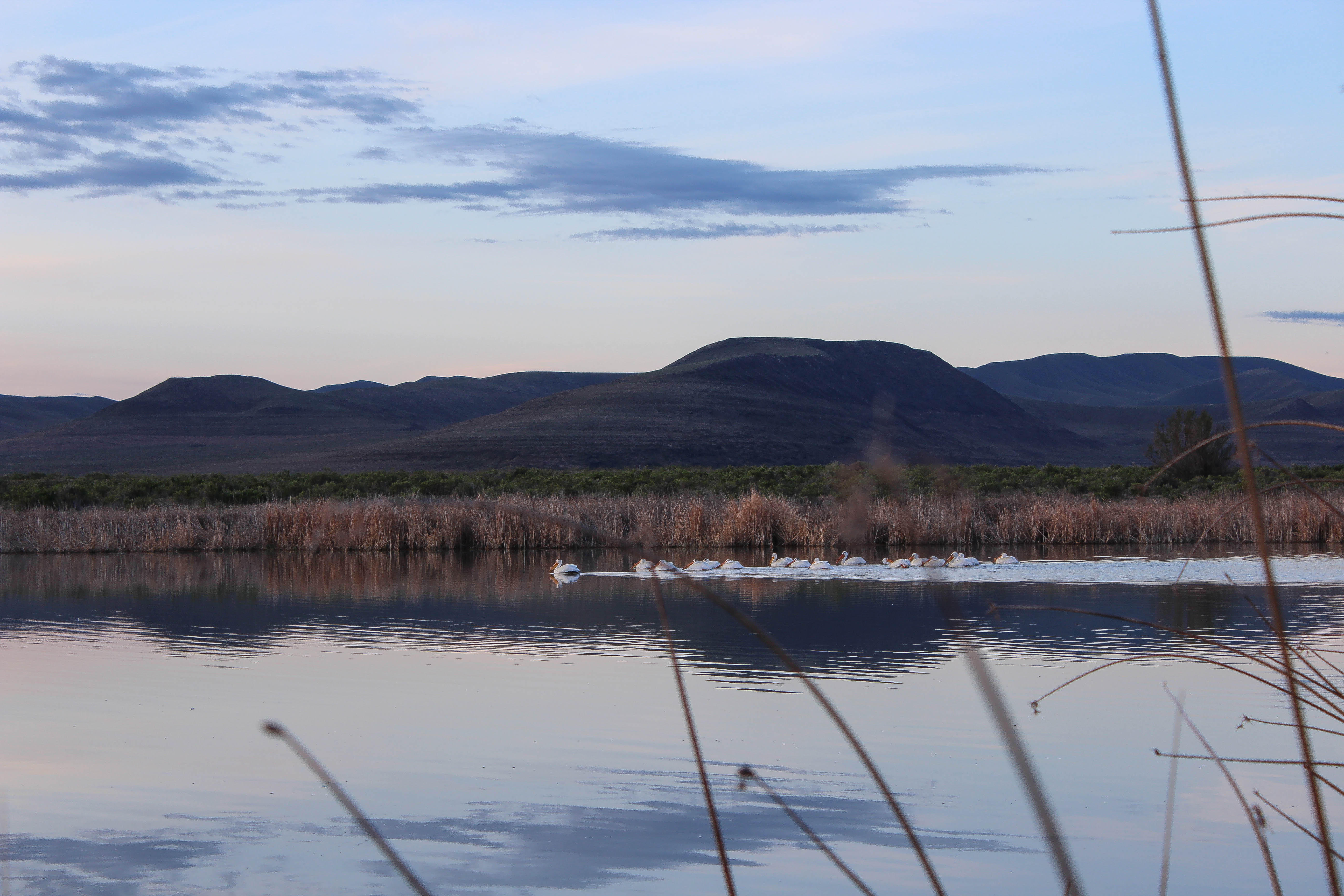 Visit the Stillwater National Wildlife Refuge, Fallon, Nevada