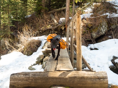 Hike to Lava Lake, Lava Lake Trail