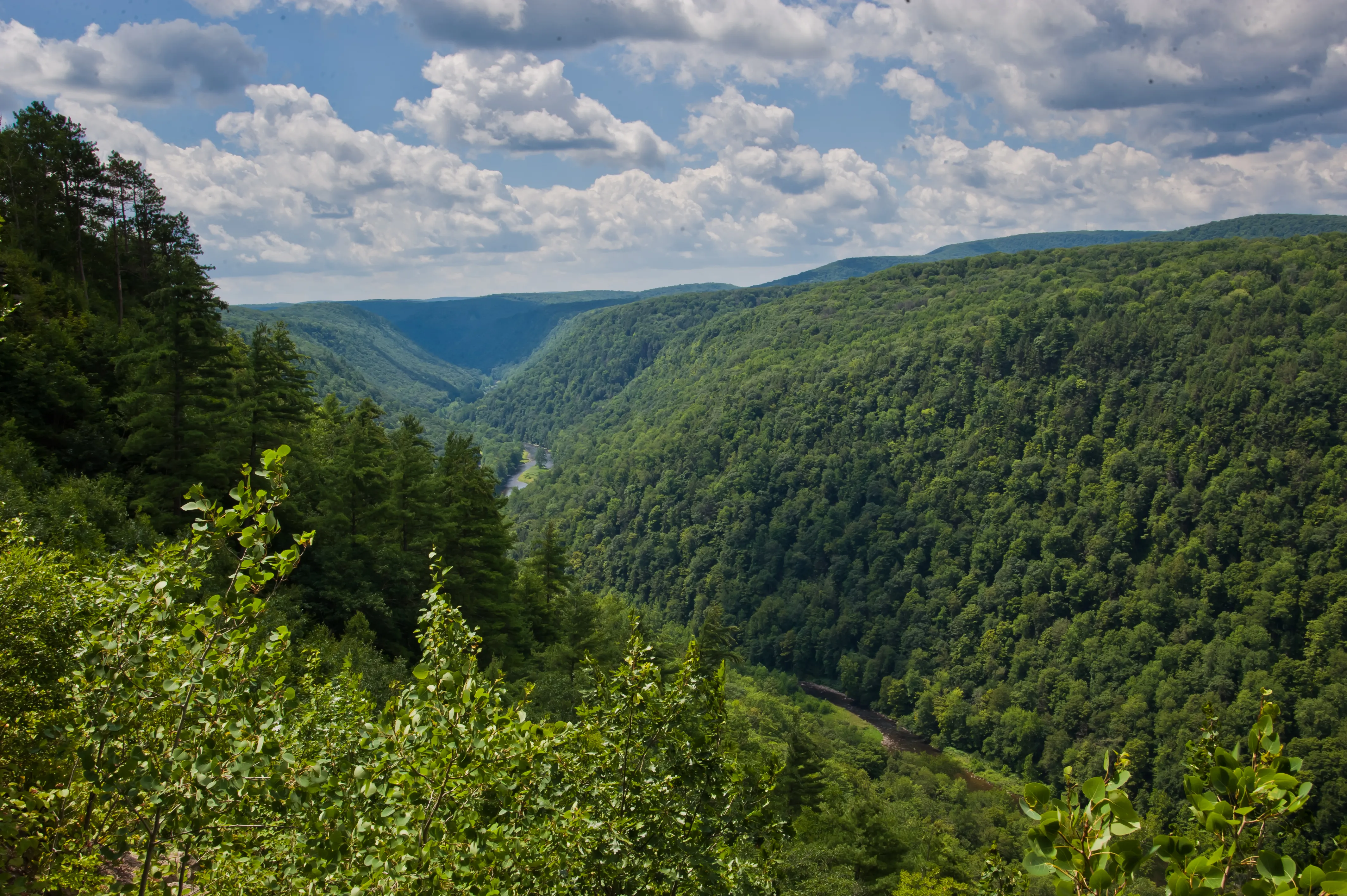 Turkey Path, Wellsboro, Pennsylvania