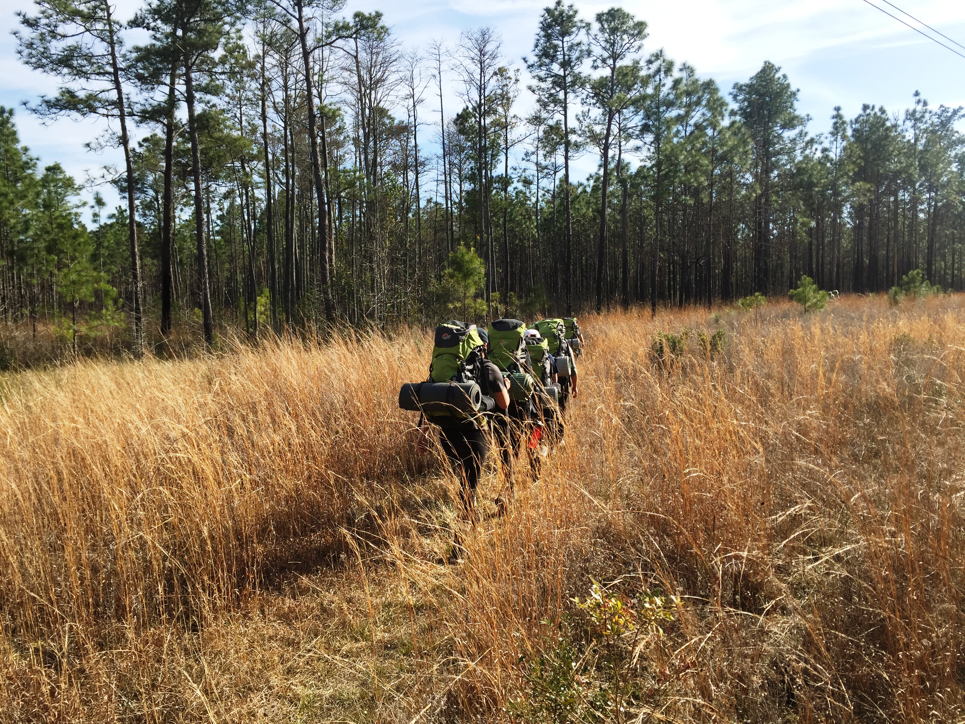 Backpack the Swamp Fox Passage from Witherby to Rt. 17, Cordesville ...