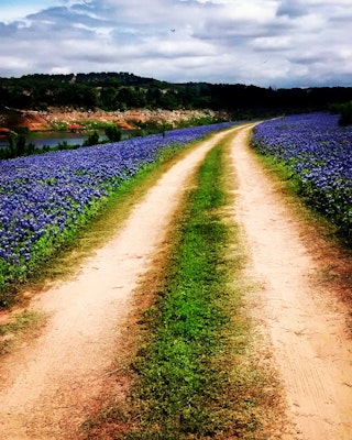 Hike through Muleshoe Bend Recreation Area, Muleshoe Bend Recreation Area