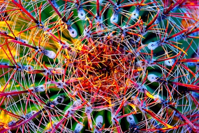 Catch The Sunset on Gates Pass, Gates Pass Parking Area