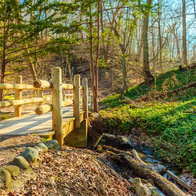 Hike the Seven Bridges Trail in Grant Park, Seven Bridges Trail