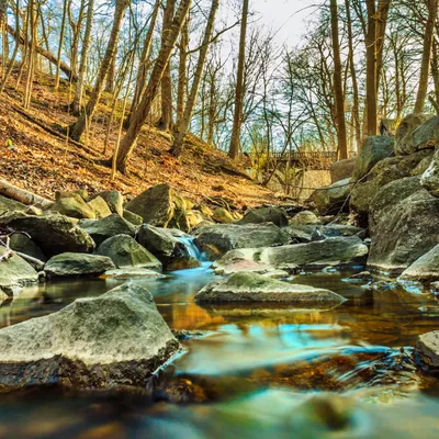 Hike the Seven Bridges Trail in Grant Park, Seven Bridges Trail