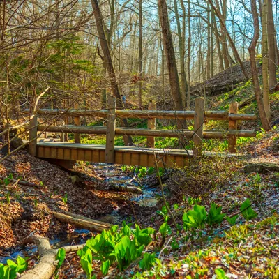 Hike the Seven Bridges Trail in Grant Park, Seven Bridges Trail