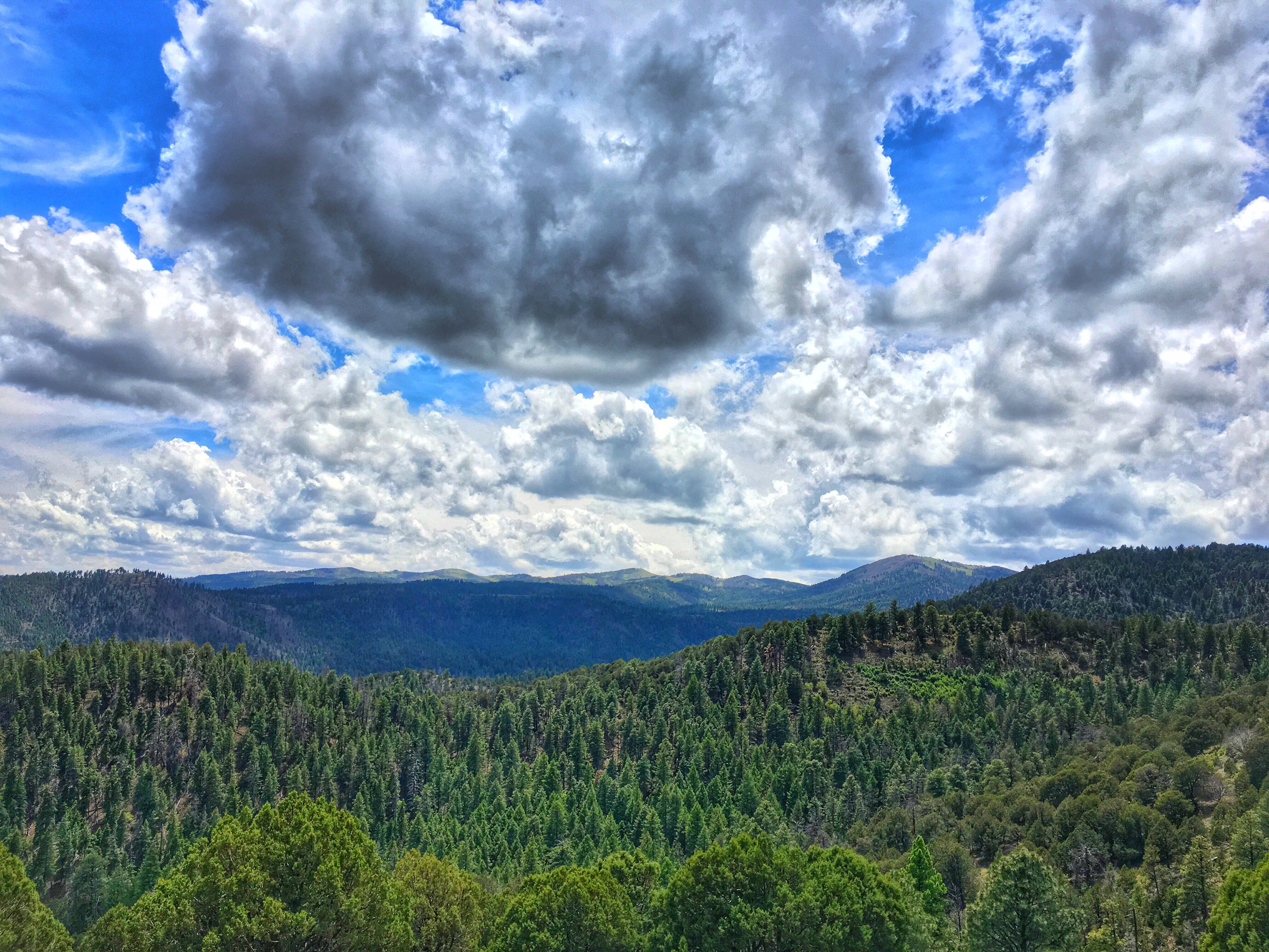 Hike Perk Canyon, Ruidoso, New Mexico