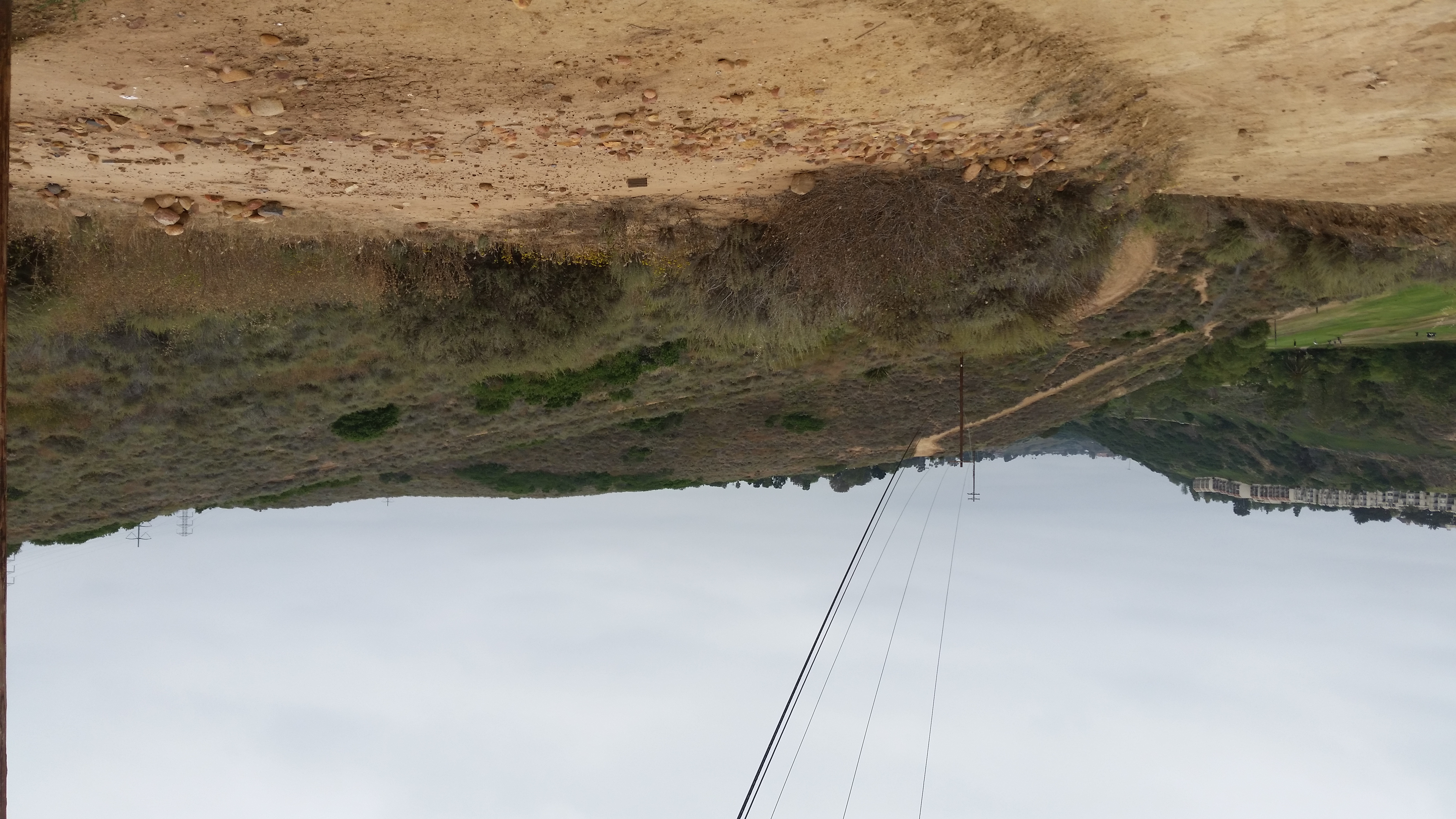Hike to the Rope Swing in Tecolote Canyon, San Diego, California
