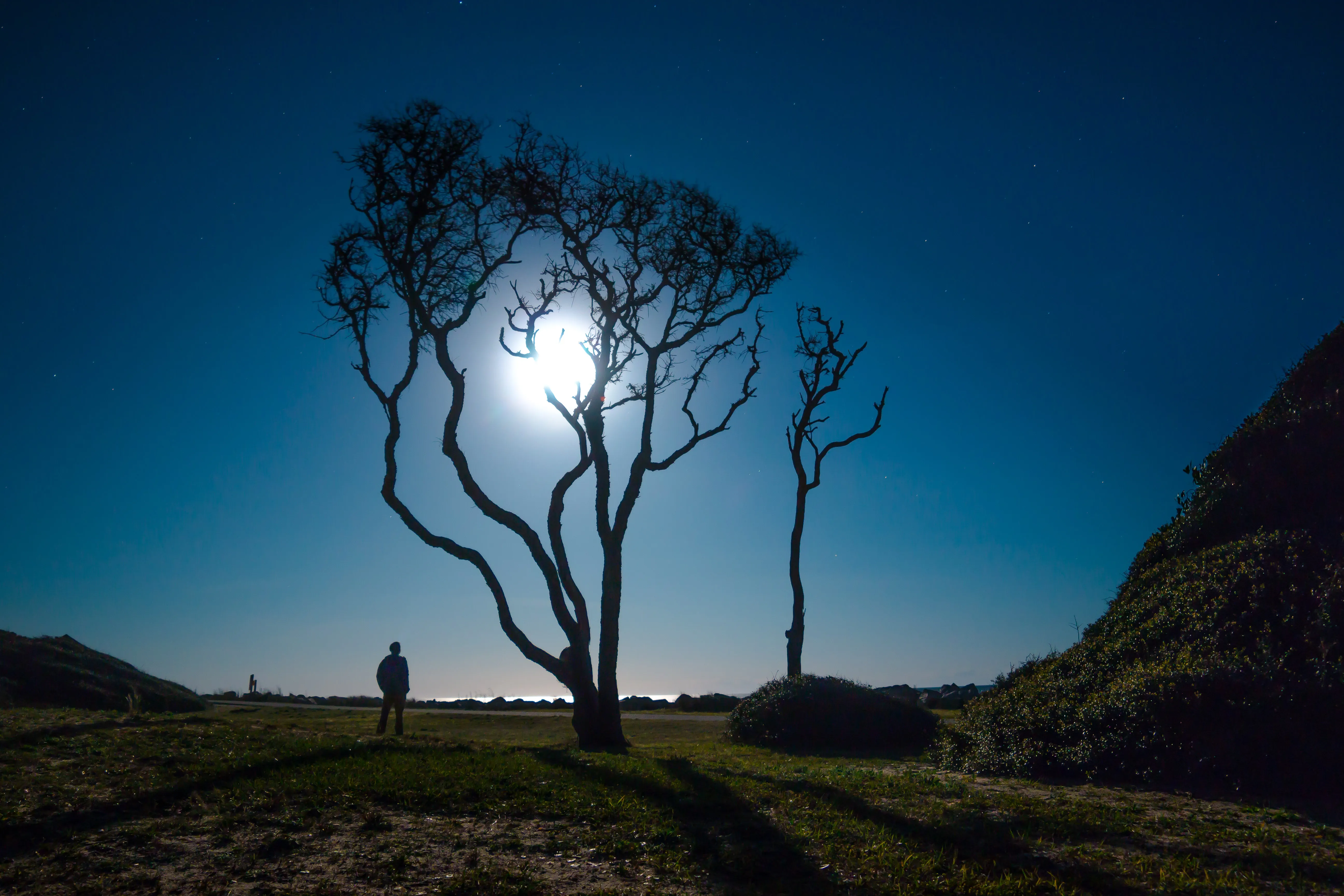 Explorer Spotlight: Robbie O'Donnell