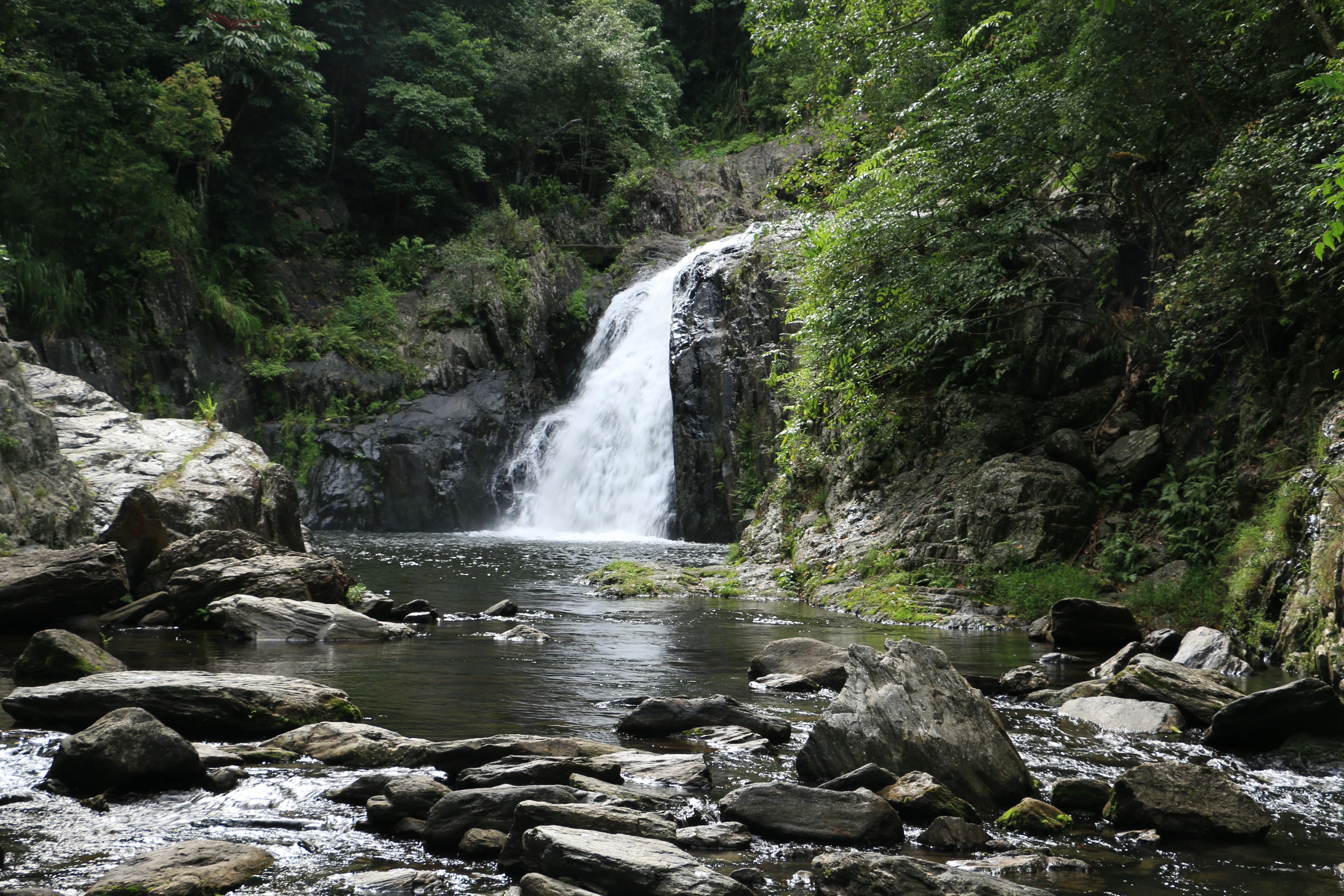Swim at Crystal Cascades Waterfall, Lamb Range, Queensland