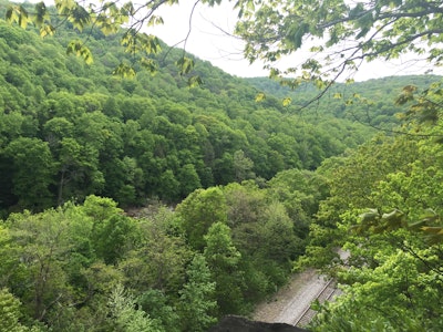Hike the Bear Run Nature Reserve Loop, Bear Run Nature Center