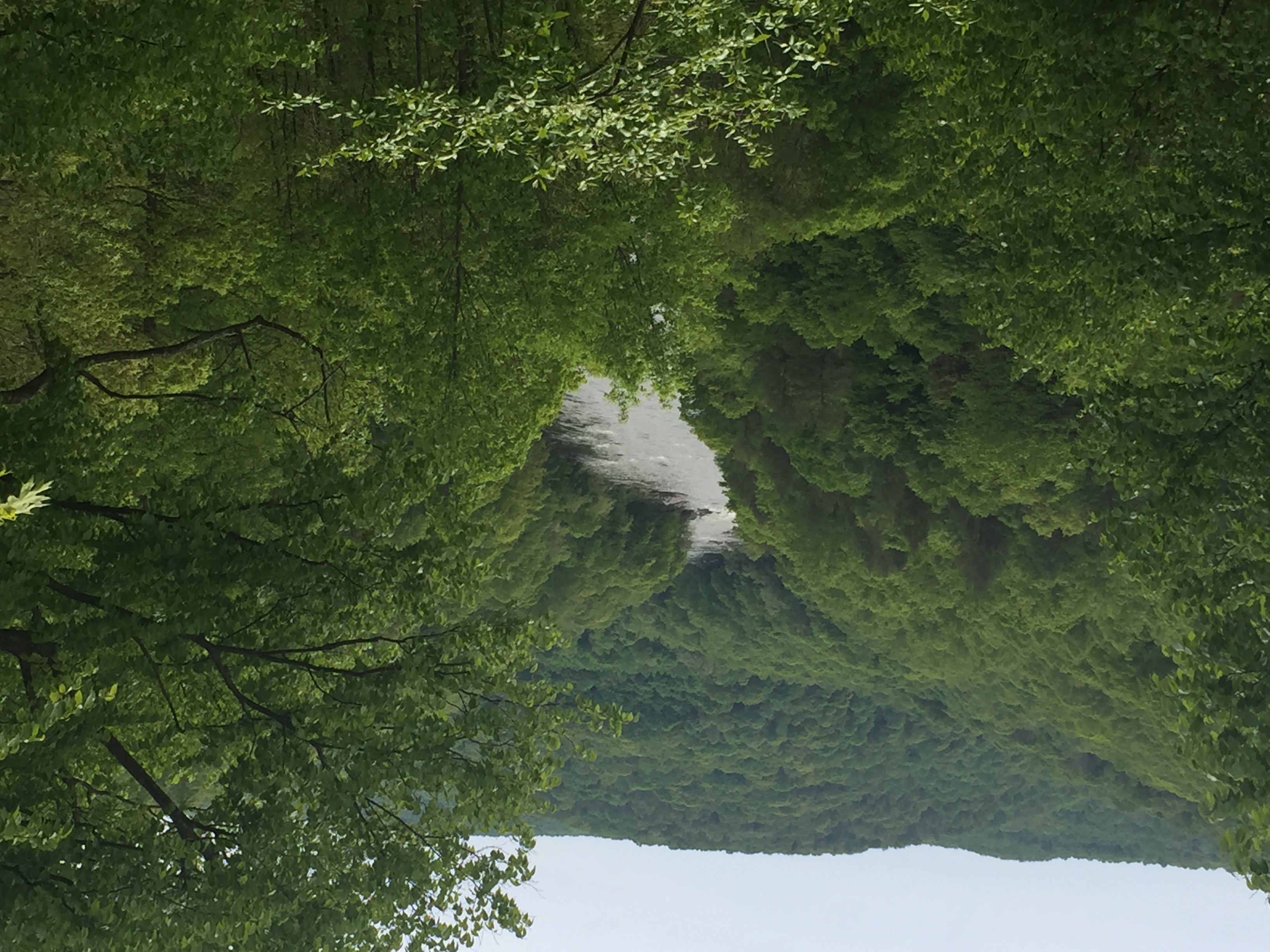 Hike the Bear Run Nature Reserve Loop, Mill Run, Pennsylvania