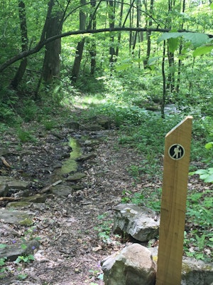 Hike the Bear Run Nature Reserve Loop, Bear Run Nature Center
