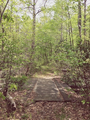 Hike the Bear Run Nature Reserve Loop, Bear Run Nature Center