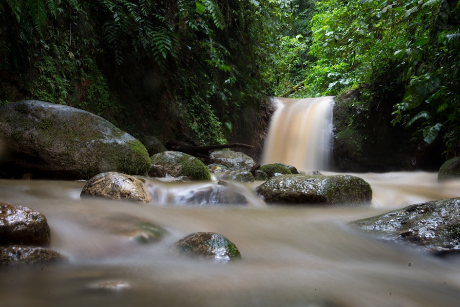 Explore La Chimosa in Podocarpus National Park, Zamora, Ecuador