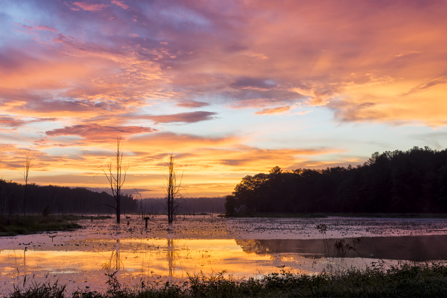Hike through SGL 252, Montgomery, Pennsylvania